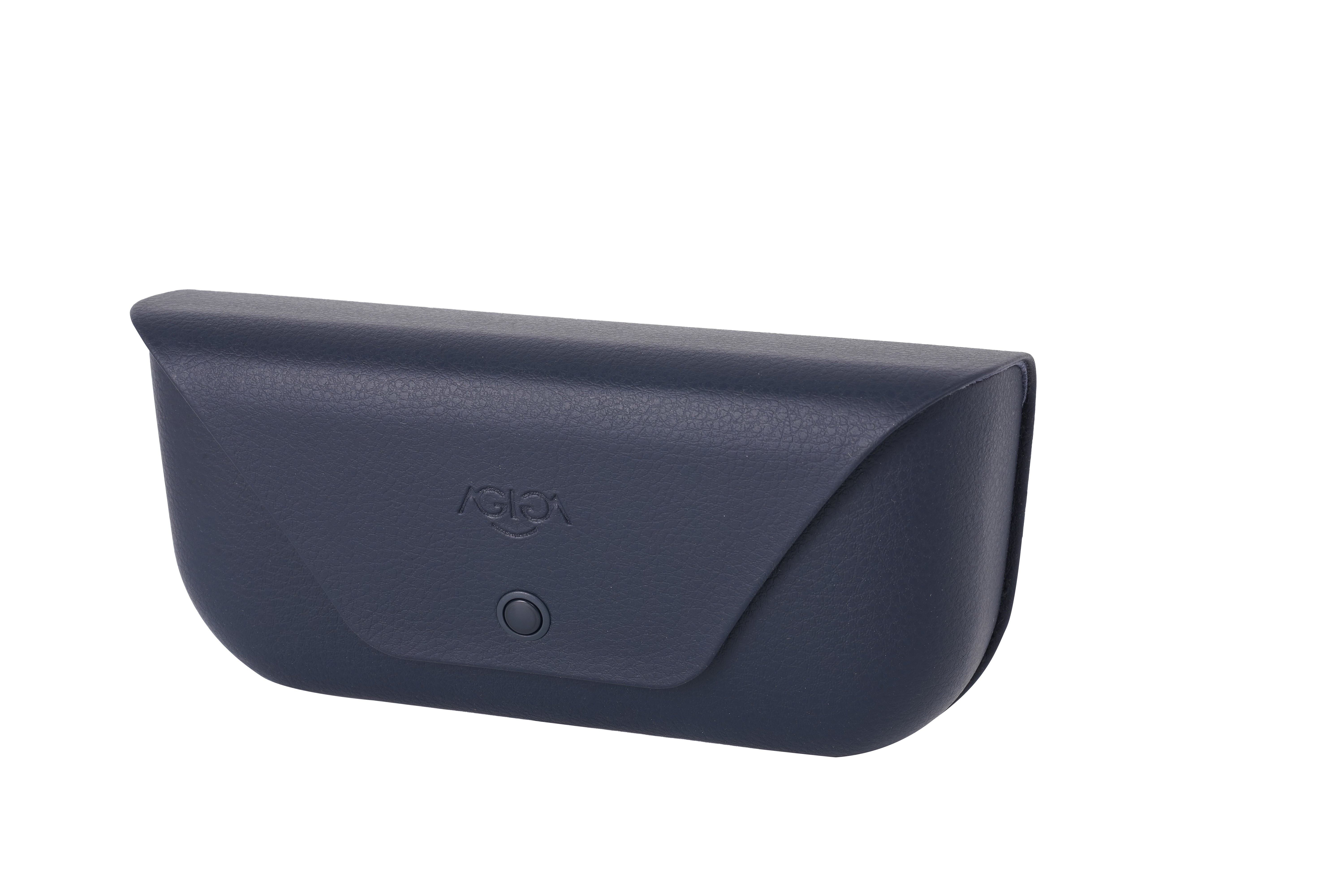 EchoVision Smart Glasses – AGIGA